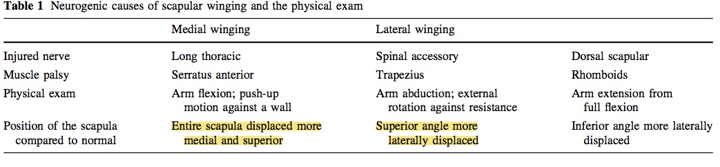 Scapular winging chart | b-reddy.org