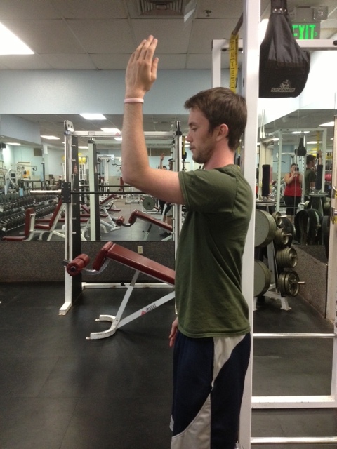 Standing arm raise from flexion | b-reddy.org
