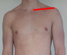 Neal shoulder line good | b-reddy.org