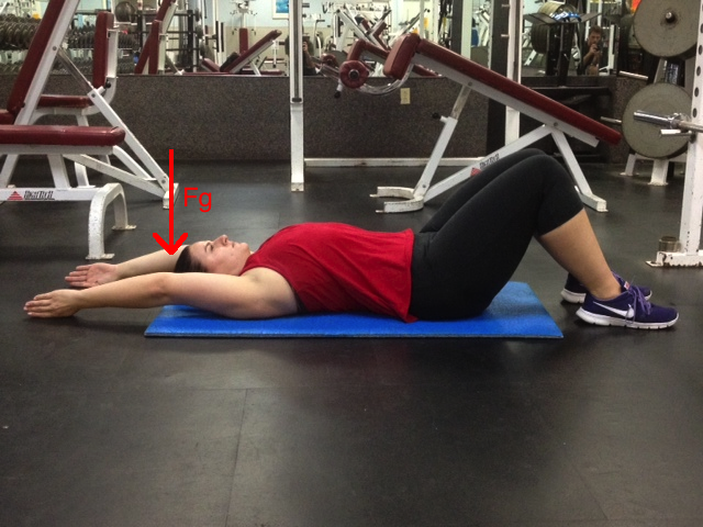 Supine Arm Raise Fully overhead with gravity line COM | b-reddy.org