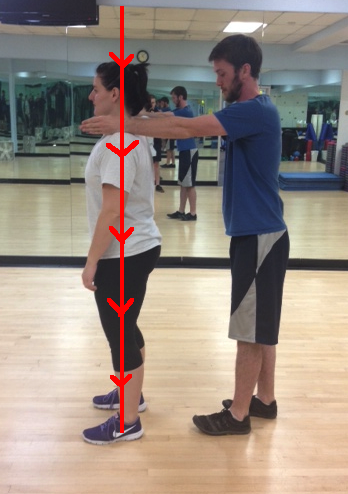 Standing gravity stress assessment good posture with arrows | b-reddy.org